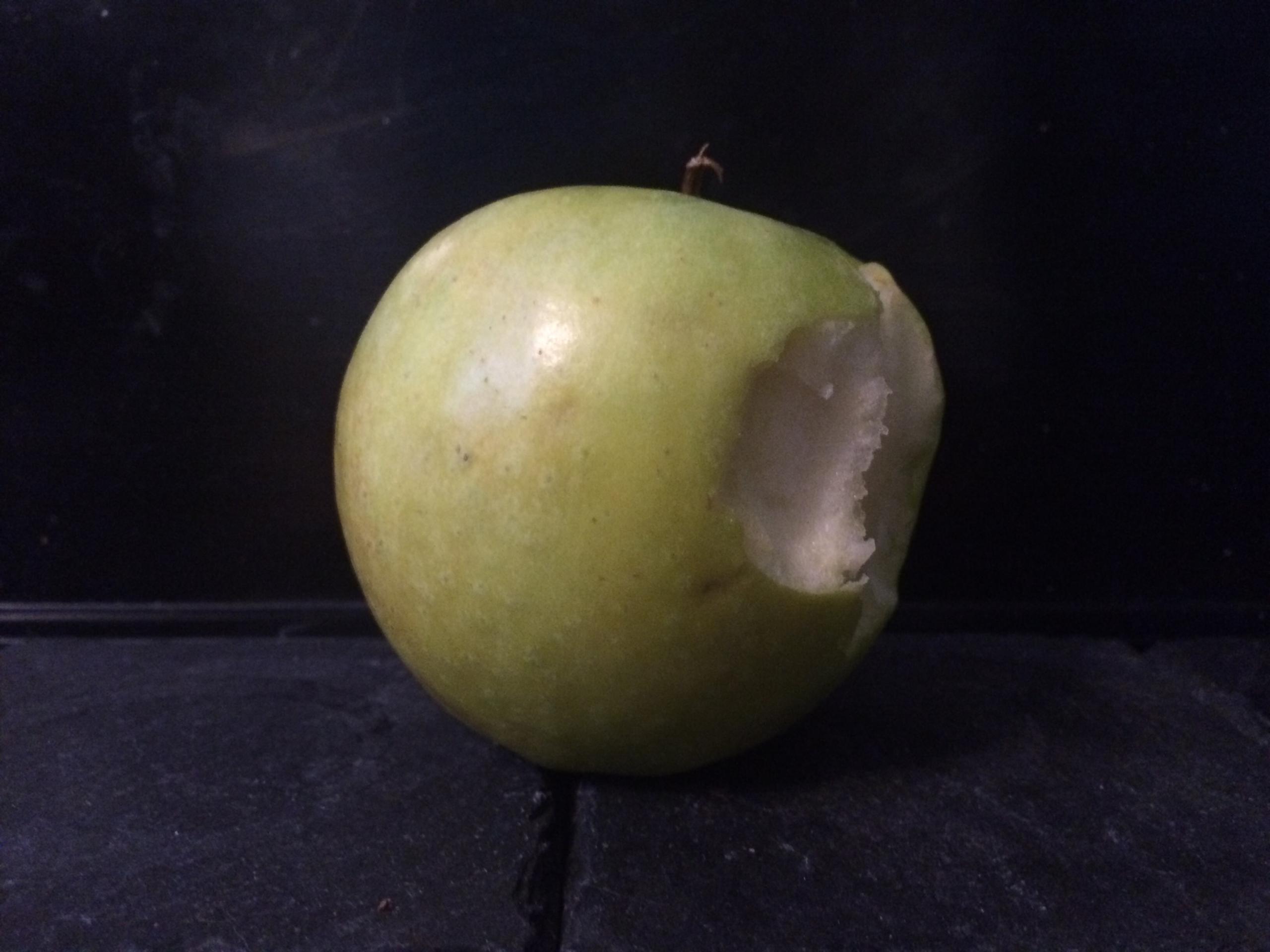 Original Sin’s Origin | Craig At Salty Earth