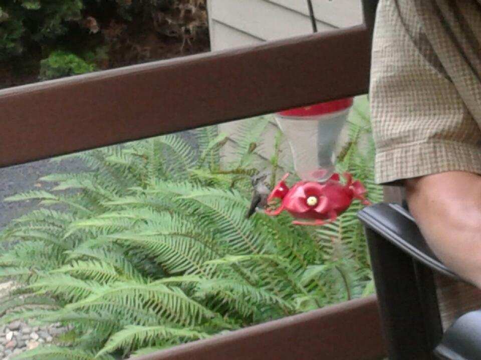 Flighty Art, Sidewalk Chalk, and Loving Your Neighbor | Craig At Salty ...